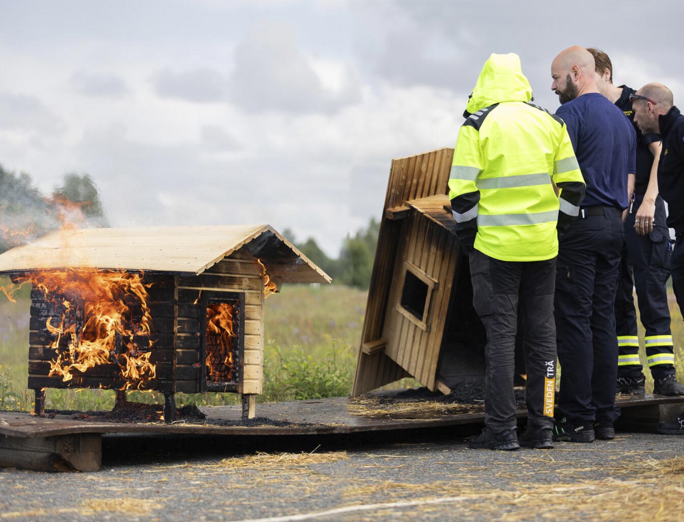 IMP-VP "Fire-retardant" impregnators for fireproofing wood - ISVE SpA ...